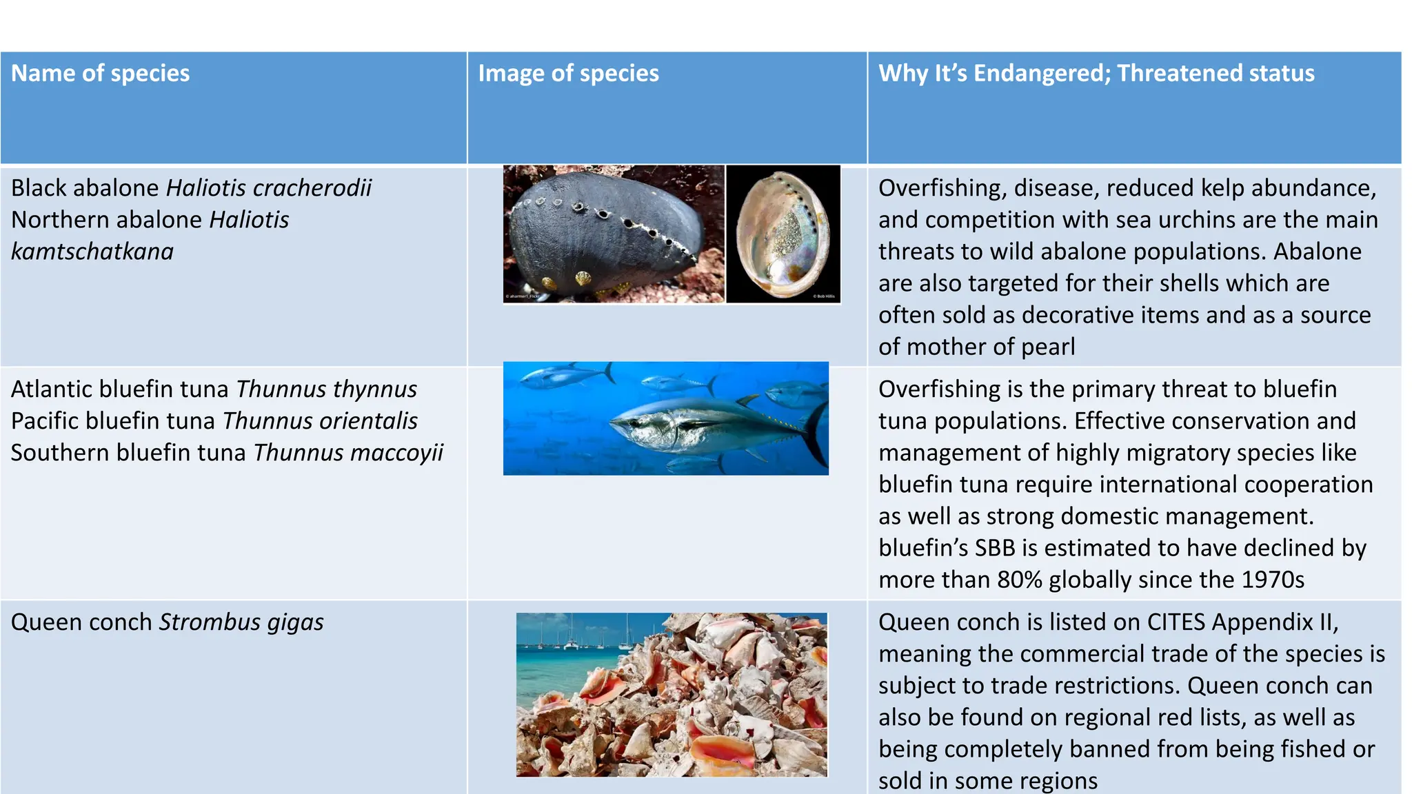 Endangered fish species of the world and India by B.pdf