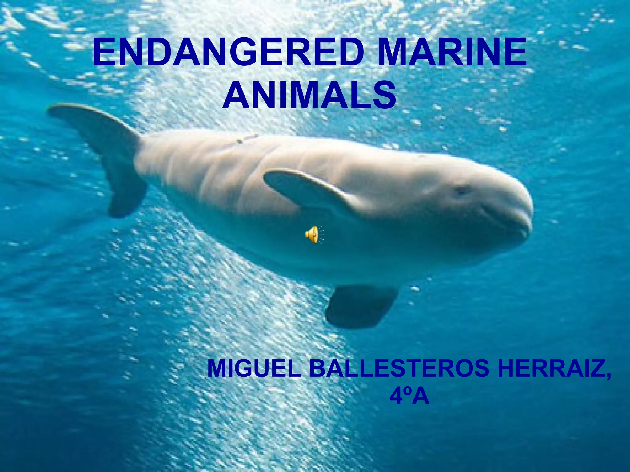Endangered marine animals | PPT