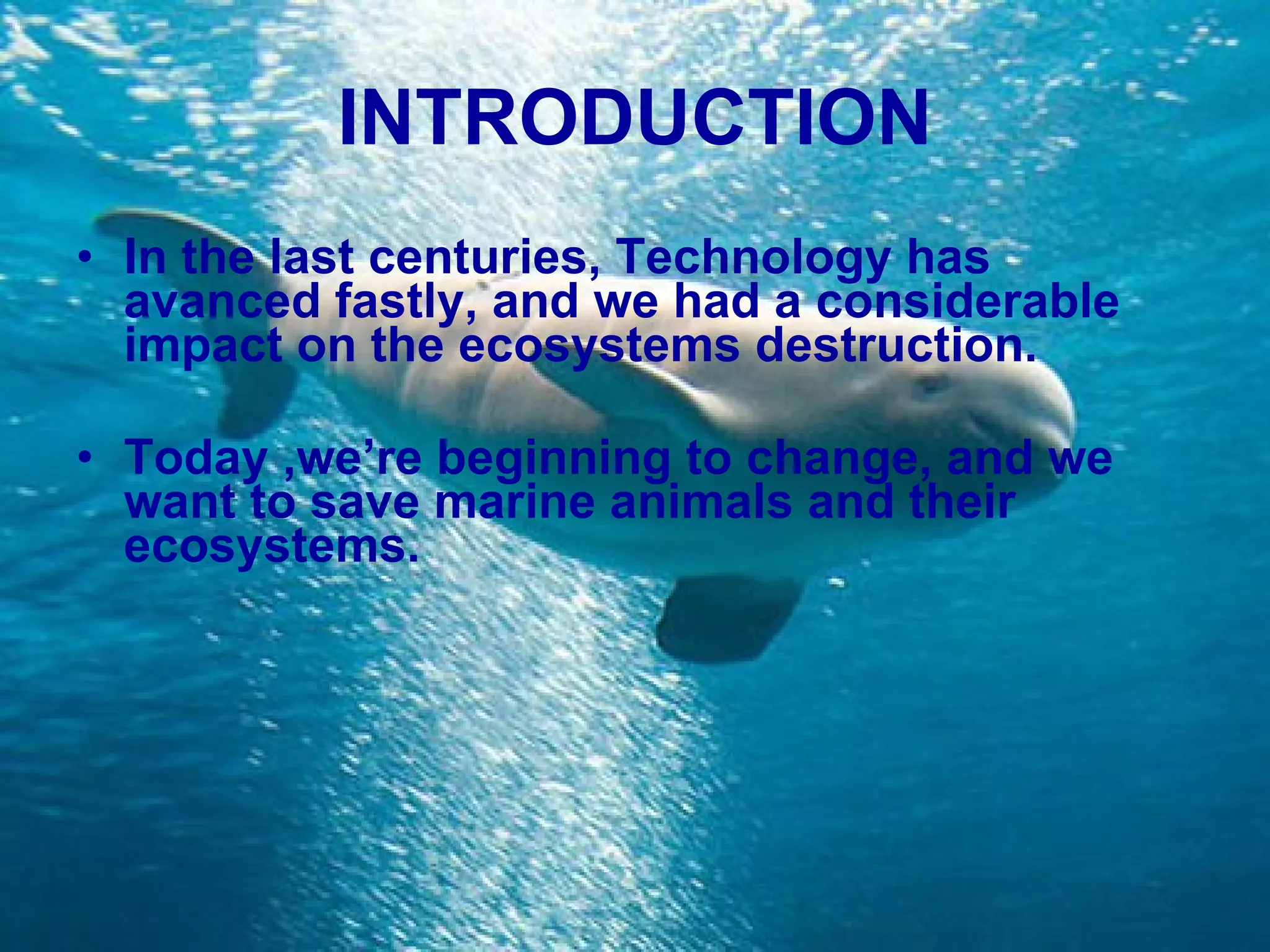 Endangered marine animals | PPT