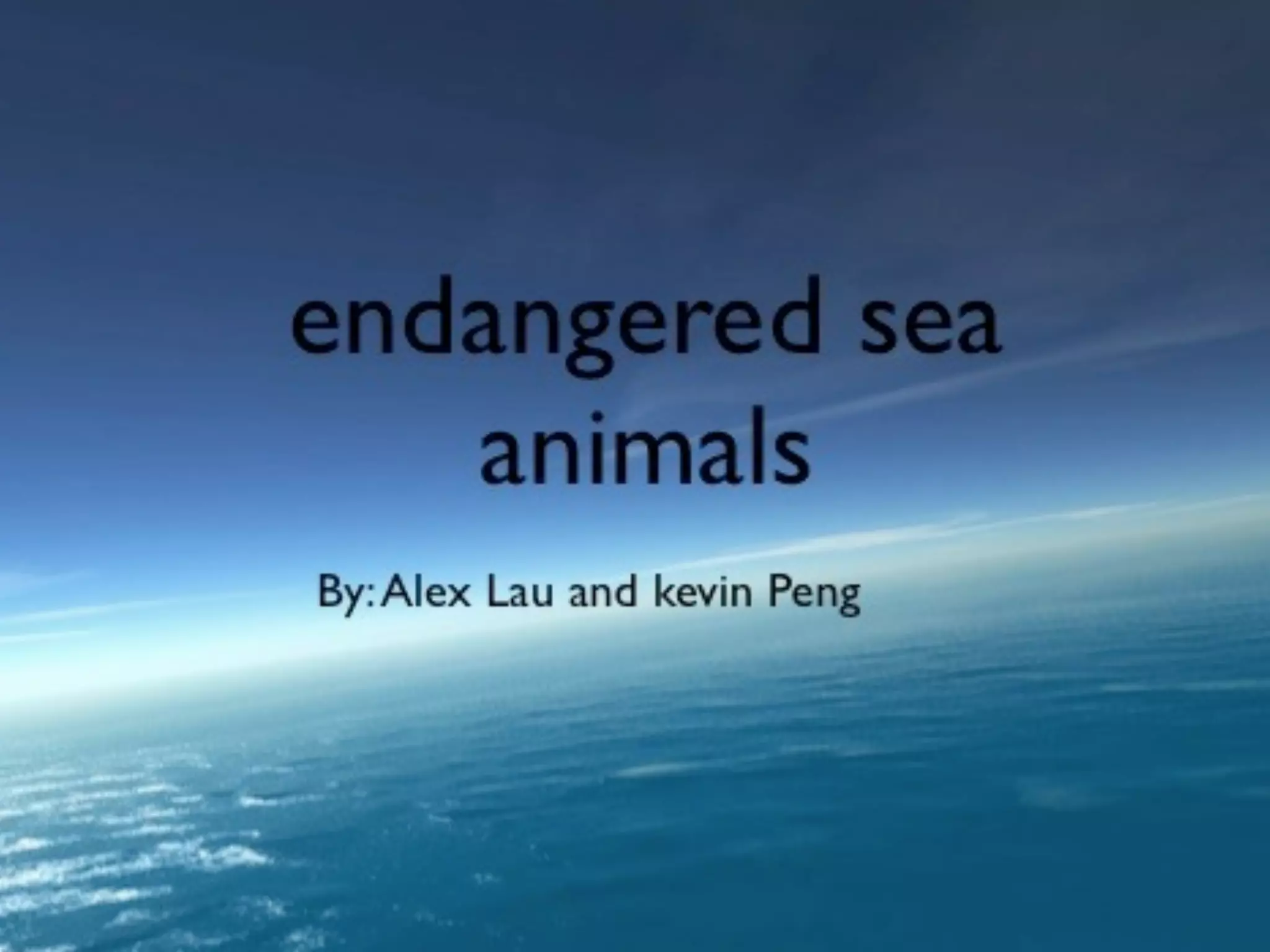 Endangered sea animals | KEY