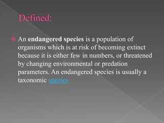Endangered Species | PPTX | Environment | Science