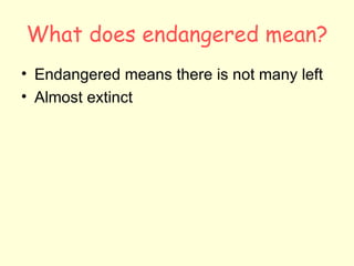 Endangered Species | PPT | Zoos & Aquariums | Attractions