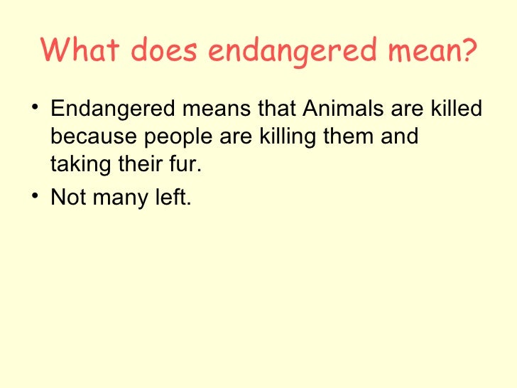 Endangered Meaning