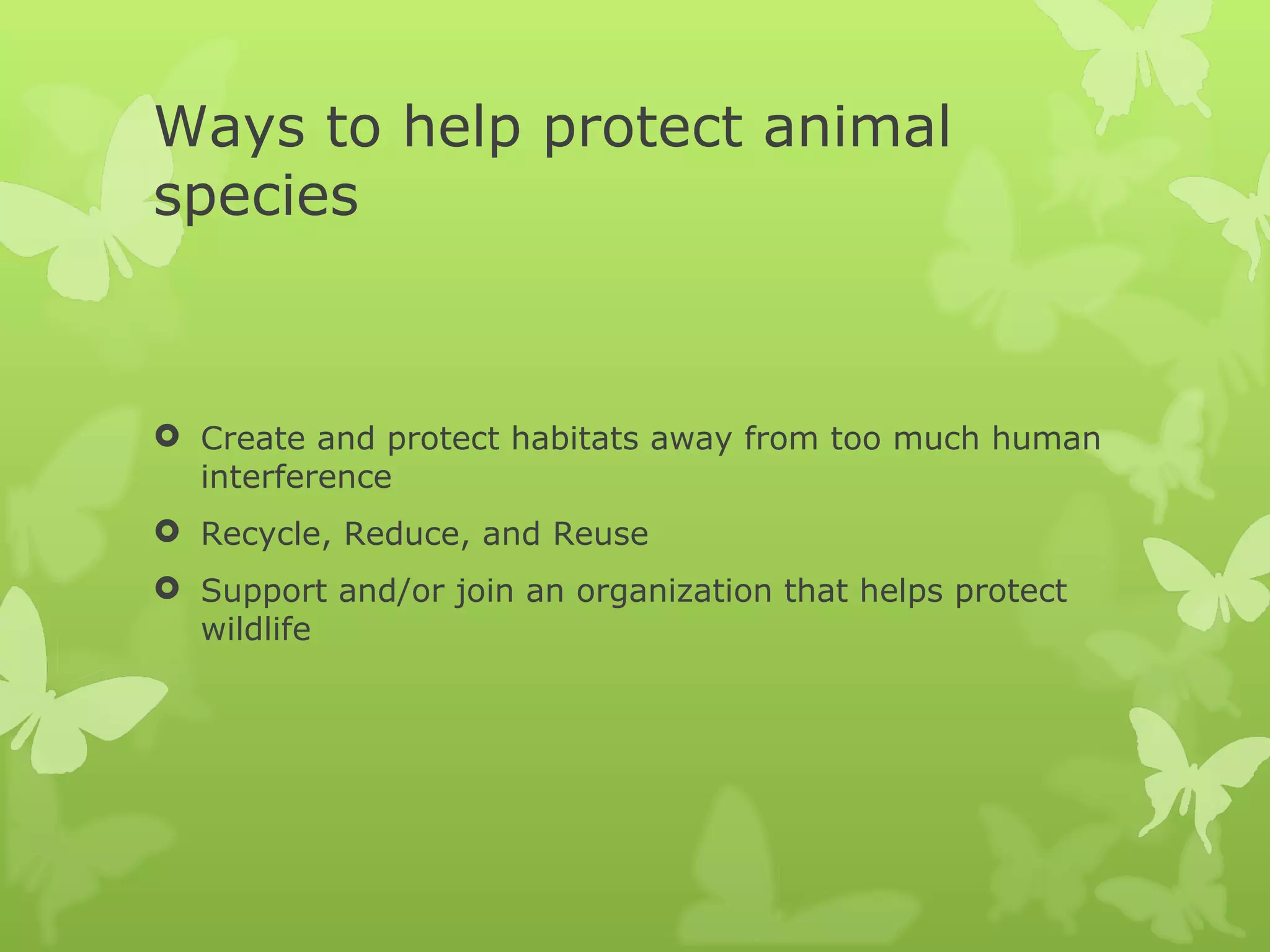 Endangered species | PPT