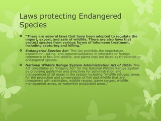 Endangered species | PPT