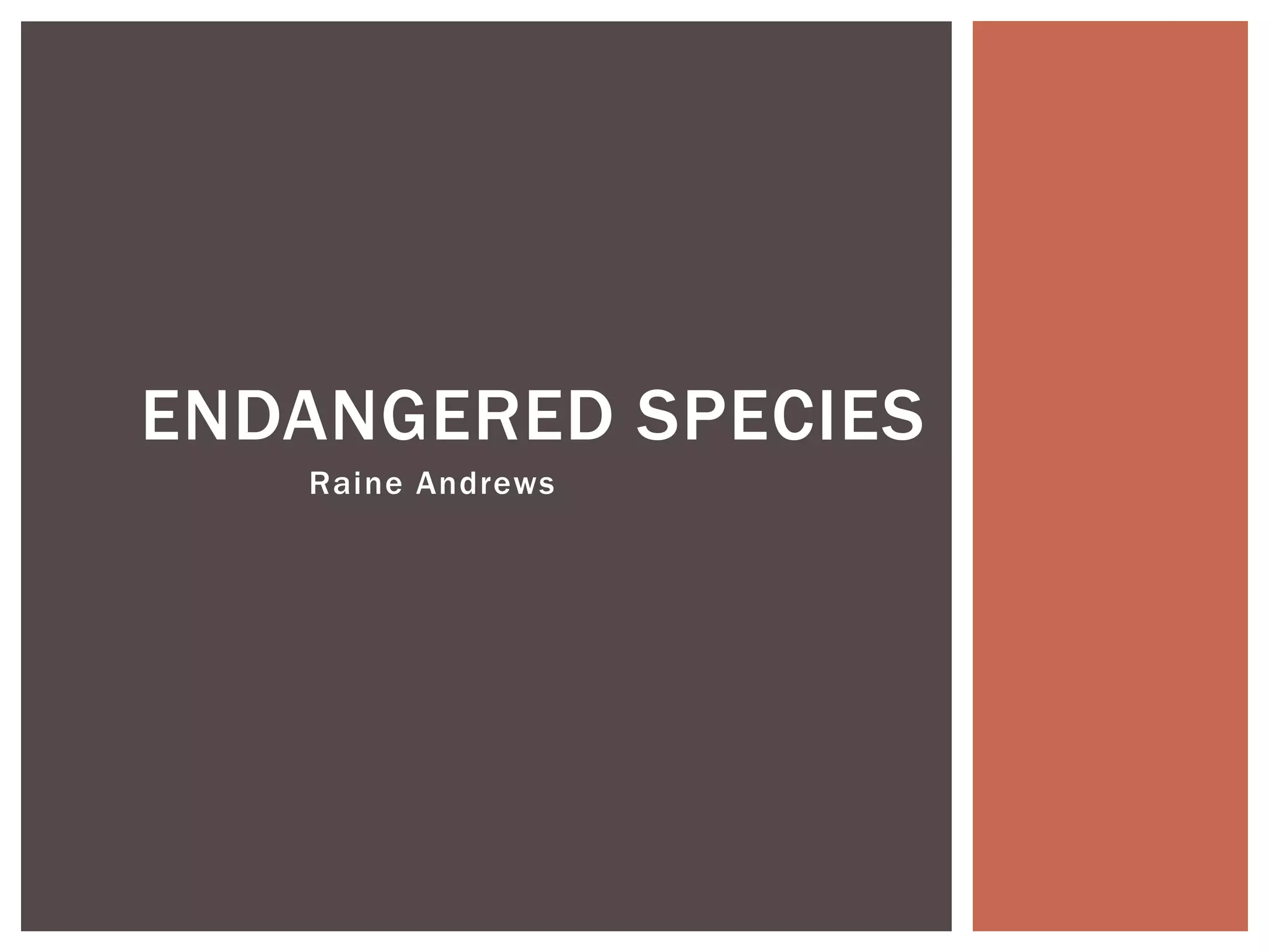 Endangered species | PPT