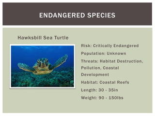 Endangered species | PPTX