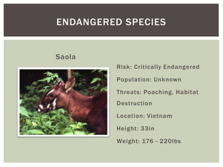 Endangered species | PPT