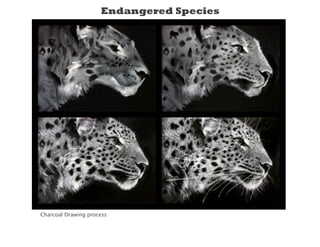 Endangered Species • Fine Art Drawings | PDF