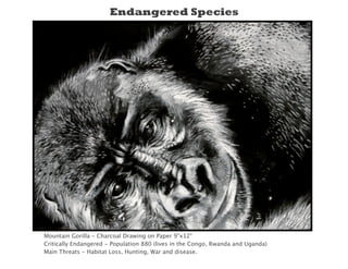 Endangered Species • Fine Art Drawings | PDF