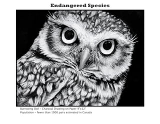 Endangered Species • Fine Art Drawings | PPT