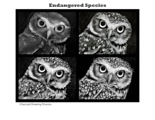 Endangered Species • Fine Art Drawings | PDF