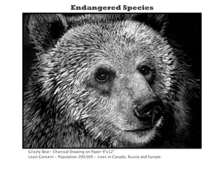 Endangered Species • Fine Art Drawings | PDF