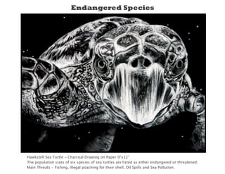 Endangered Species • Fine Art Drawings | PDF