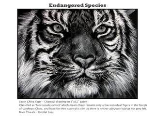 Endangered Species • Fine Art Drawings | PDF