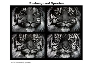Endangered Species • Fine Art Drawings | PDF