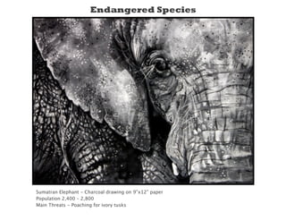 Endangered Species • Fine Art Drawings | PDF