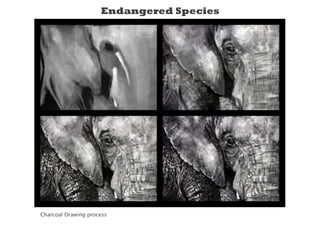 Endangered Species • Fine Art Drawings | PDF