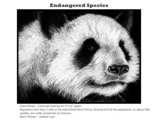 Endangered Species • Fine Art Drawings | PPT
