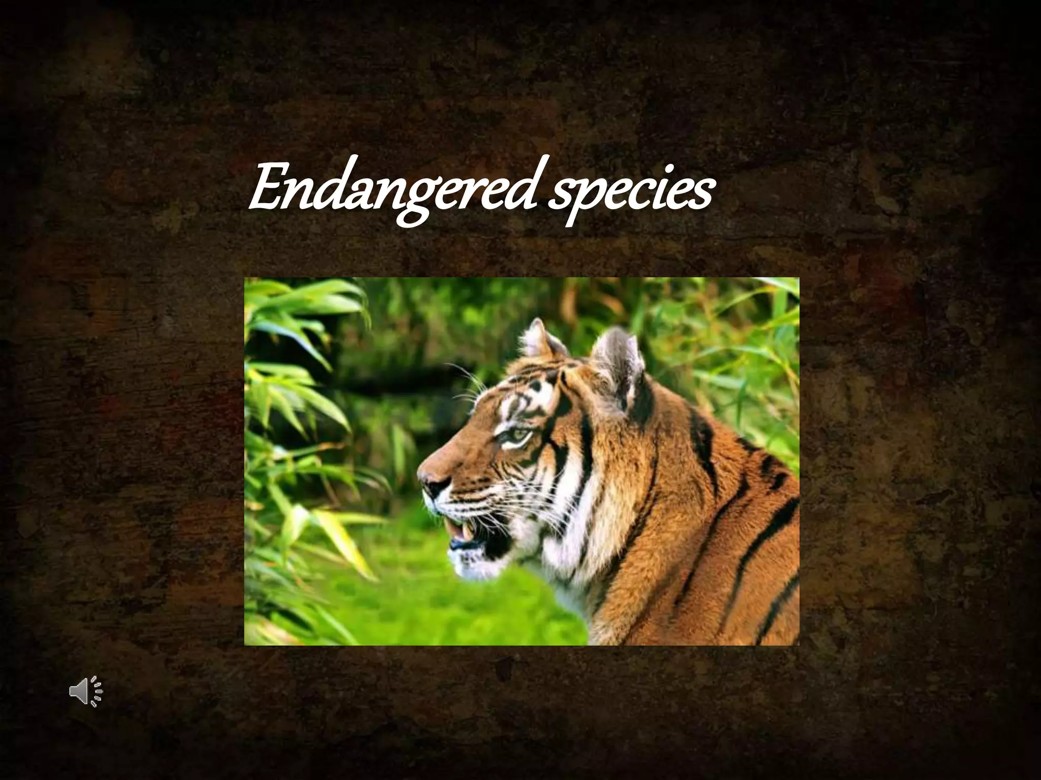 Endangered species | PPT