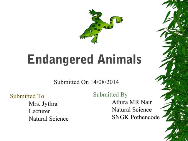 Endangered Animals Presentation By Athira MR | PPT