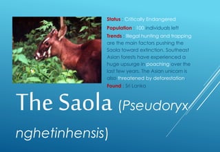 Endangered species | PPT