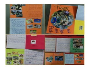 Endangered species | PPT