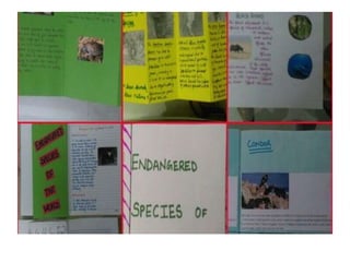 Endangered species - Ramagya School | PPTX