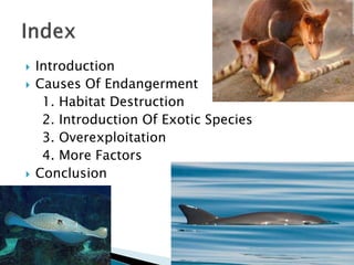 Endangered species by pragyan yadav | PPTX