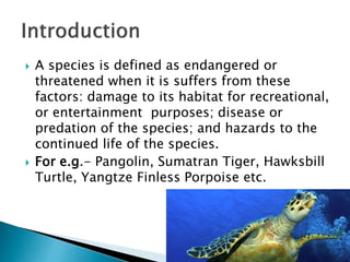 Endangered species by pragyan yadav | PPTX