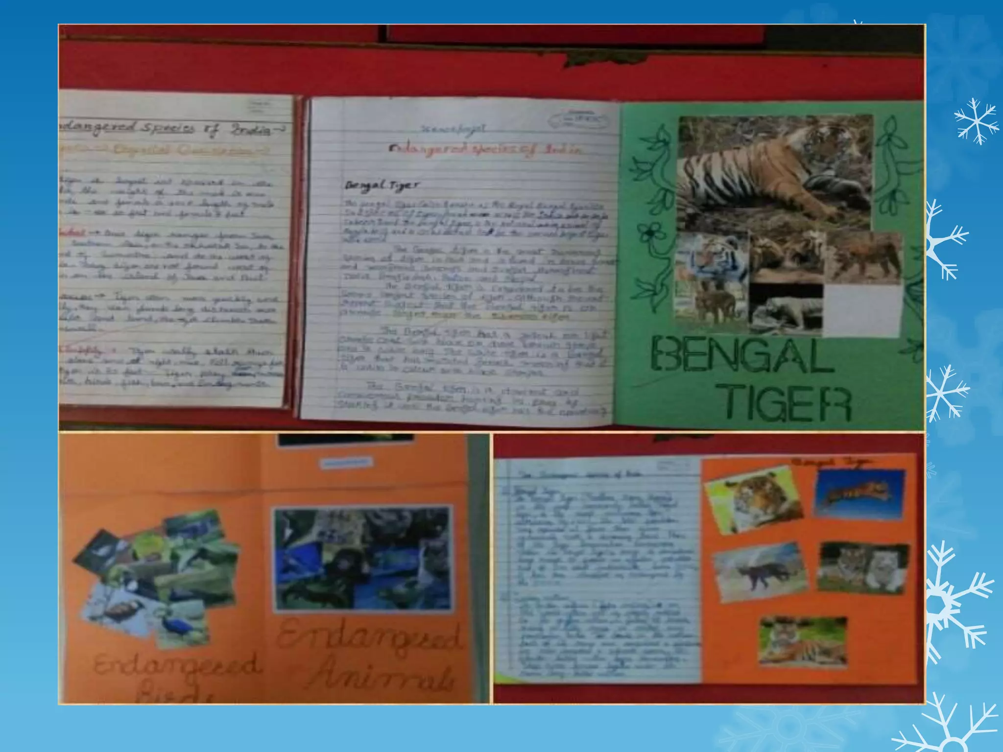 Endangered species (Scrapbook Activity) | PPTX