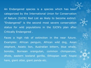 Endangered species (Scrapbook Activity) | PPTX
