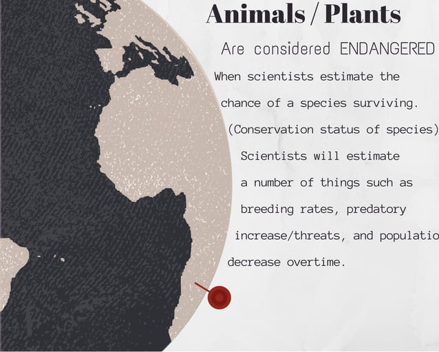 Endangered species | PPT