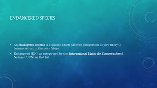 Endangered species | PPT