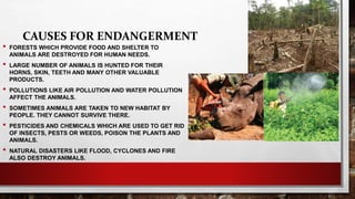 Endangered species | PPT