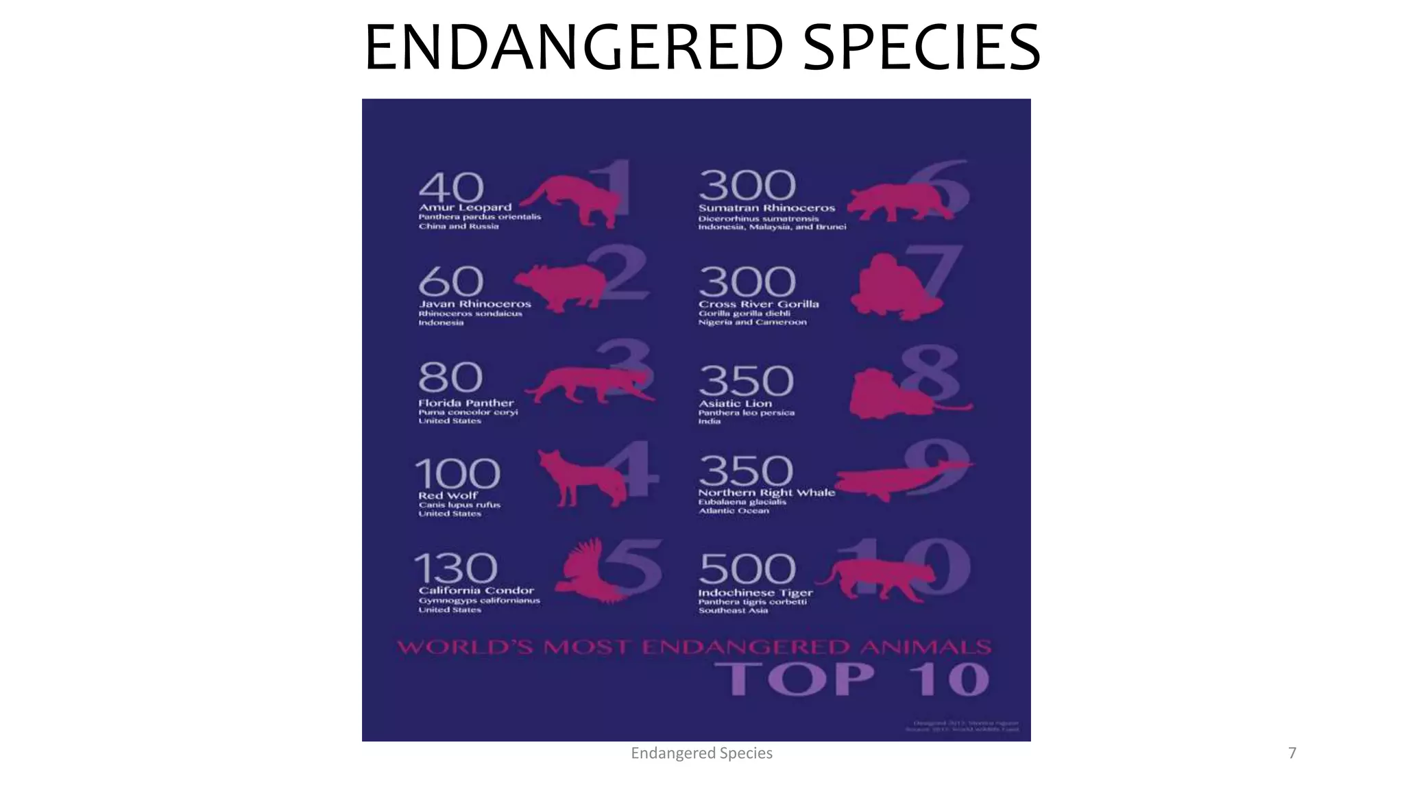 Endangered Species | PPTX