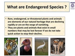 Endangered Species.pptx