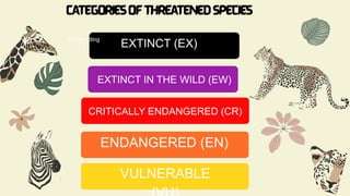 Teaching Elementary Students About Endangered Species | PPTX ...