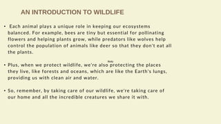 Teaching Elementary Students About Endangered Species | PPTX