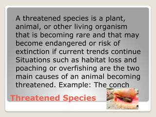 Endangered Species PowerPoint Presentation | PPTX