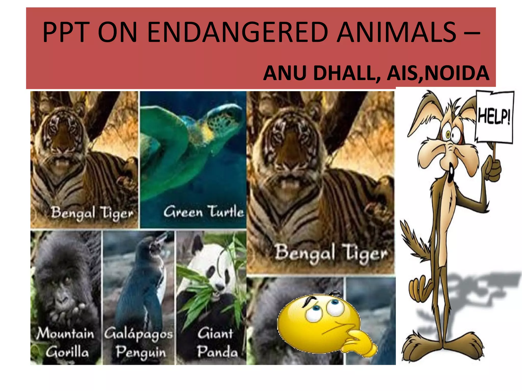 Endangered species final&comprehensive presentation for pbl-term2-by ...
