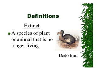 Endangered species final&comprehensive presentation for pbl-term2-by ...