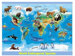 Endangered species final&comprehensive presentation for pbl-term2-by ...