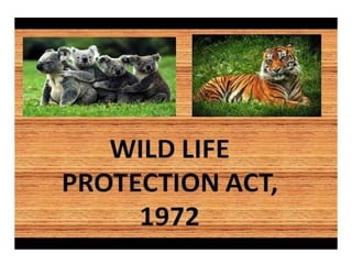 Endangered species final&comprehensive presentation for pbl-term2-by ...