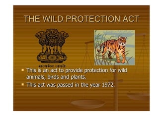 Endangered species final&comprehensive presentation for pbl-term2-by ...