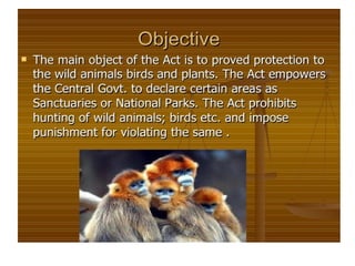 Endangered species final&comprehensive presentation for pbl-term2-by ...