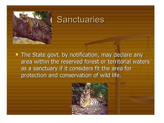 Endangered species final&comprehensive presentation for pbl-term2-by ...