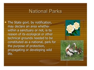 Endangered species final&comprehensive presentation for pbl-term2-by ...