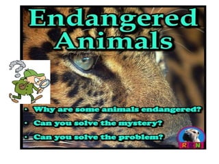 Endangered species final&comprehensive presentation for pbl-term2-by ...