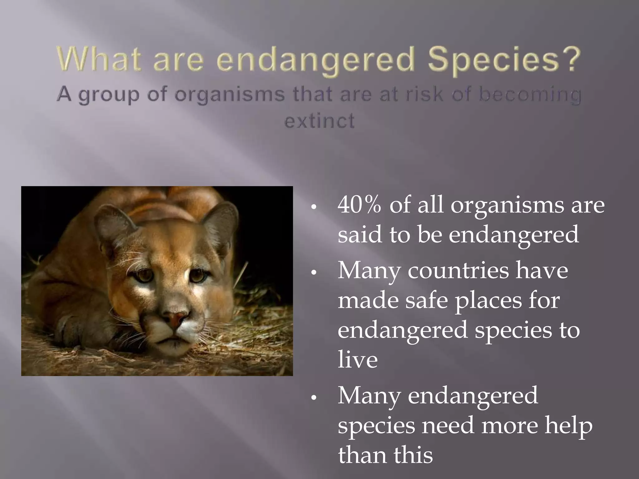 Endangered Species#1 | PPTX